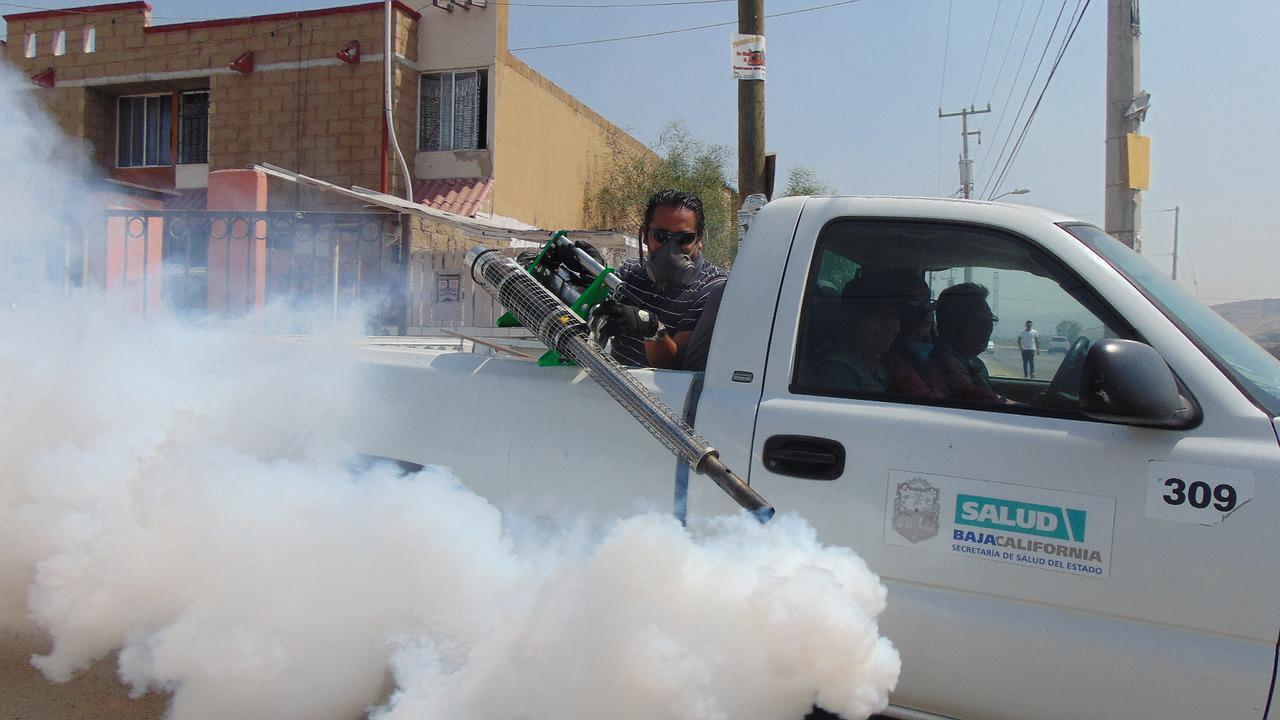 What to Do When Your Car is Fumigated - Nauticus